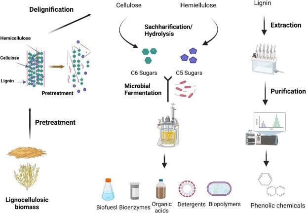 Why Pretreatment is Important in the Water Purification process